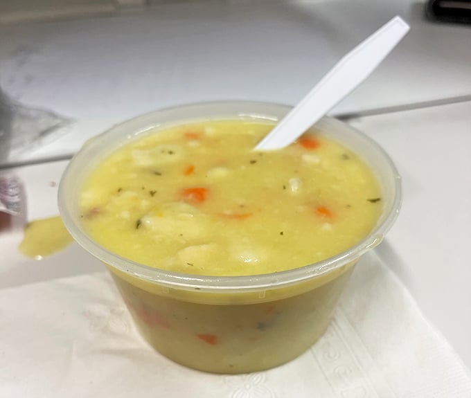 Chicken dumpling soup that looks like liquid comfort—the kind that makes you want to call your mother and apologize for ever doubting her recipes. 