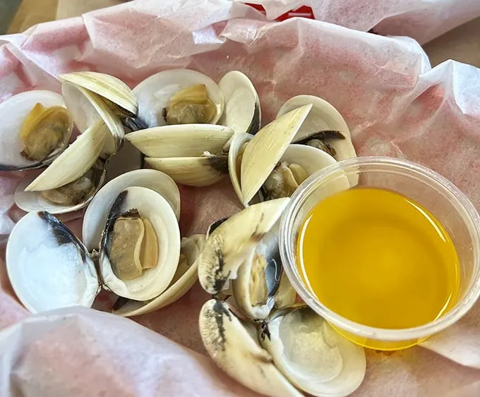 These steamed clams, plump and glistening beside liquid gold butter, are the ocean's perfect appetizer—briny jewels worth every bit of effort.