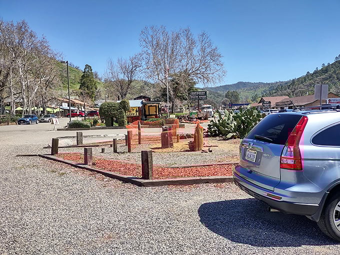 Rolling hills dotted with oak trees and rustic homes – like a California version of Tuscany, just with more pickup trucks and fewer Vespas.