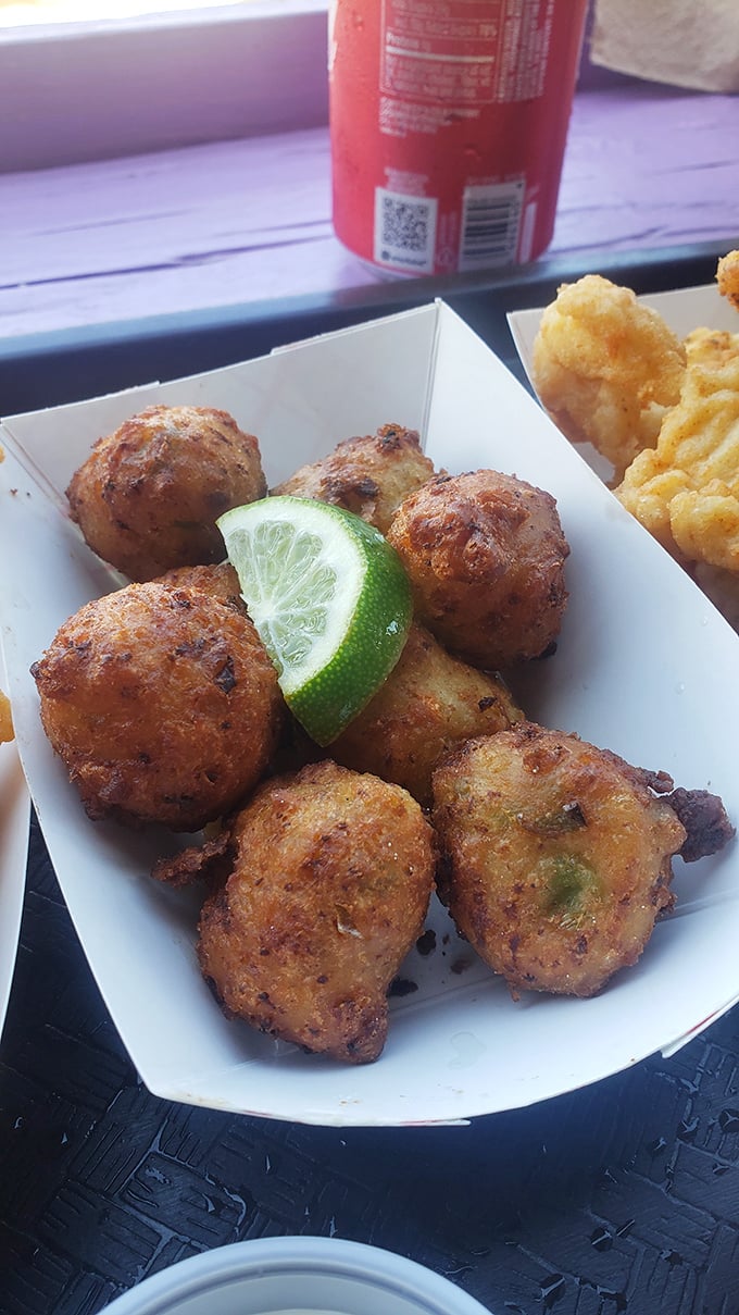 Golden conch fritters that could make a Key West native weep with joy—crispy outside, tender inside, disappeared in seconds.