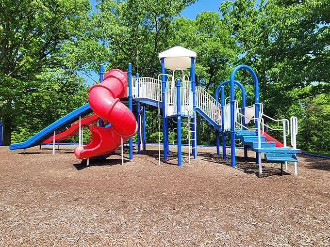 Constitution Park's walking trails offer the perfect excuse to pretend you're exercising while really just enjoying the scenery.