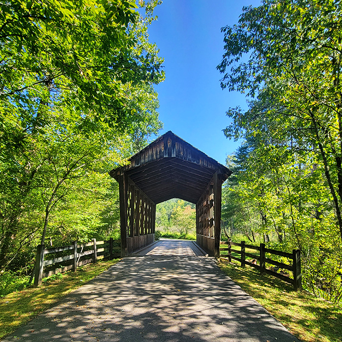 Not your average bridge over troubled water. This wooden covered passage looks like it leads straight into a fairy tale or at least a really good hiking story.