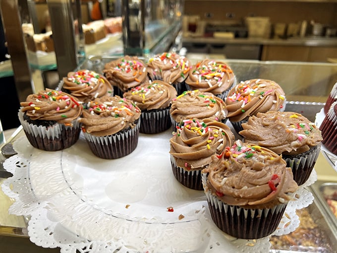 Chocolate cupcakes with sprinkles – proof that sometimes happiness is simple math: sugar + more sugar = pure joy.