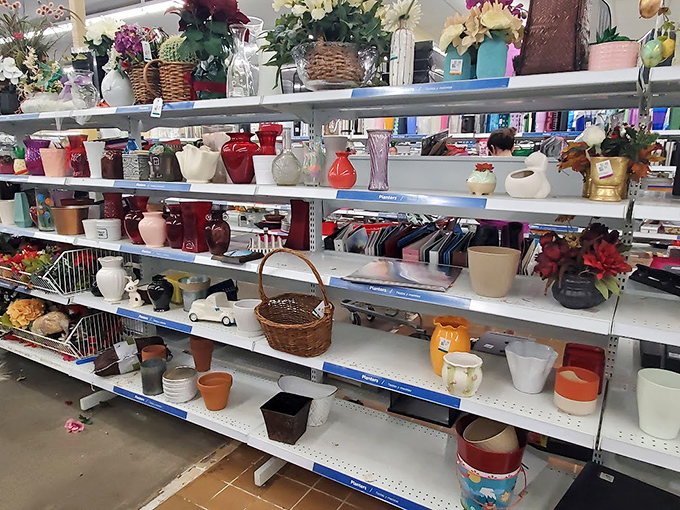 Vases, baskets, and flowerpots galore—this is where abandoned home décor finds new purpose and forgotten style is reborn.
