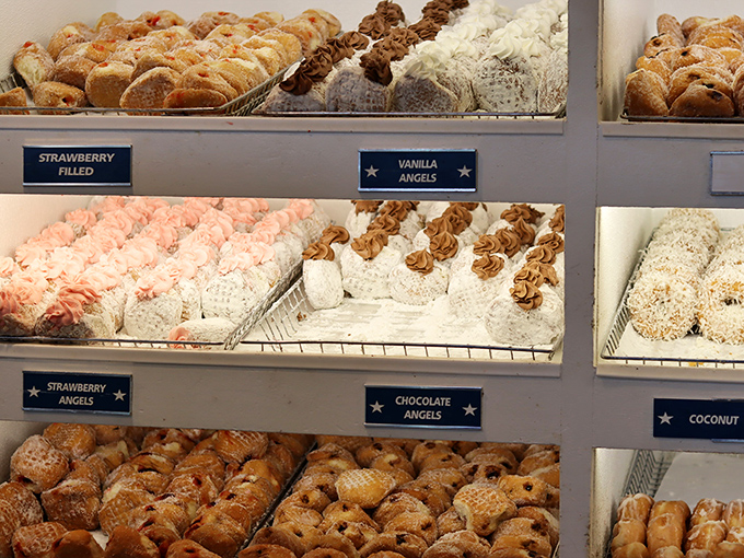 Donut heaven awaits behind glass—strawberry angels, chocolate temptations, and coconut dreams all vying for your attention. Resistance is futile.