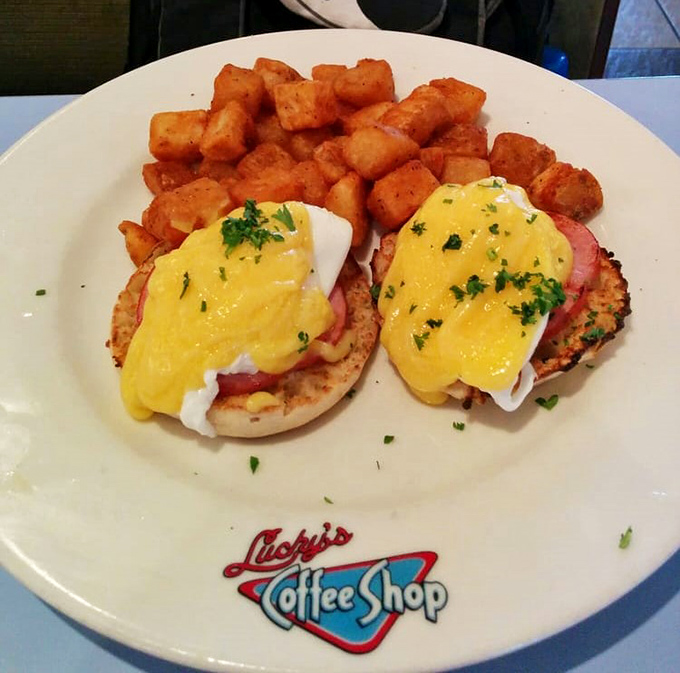 Eggs Benedict done right – perfectly poached eggs, Canadian bacon, and hollandaise that would make Julia Child nod in approval.