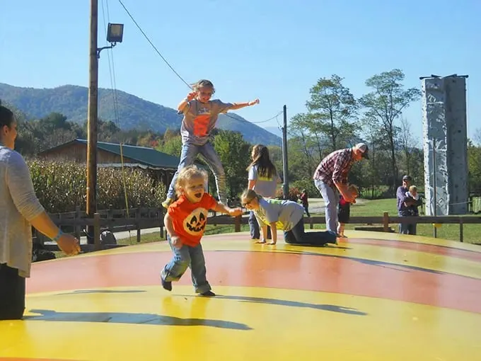 Who needs expensive theme parks when you've got this bouncy paradise? Kids experiencing pure joy without parents experiencing pure bankruptcy.