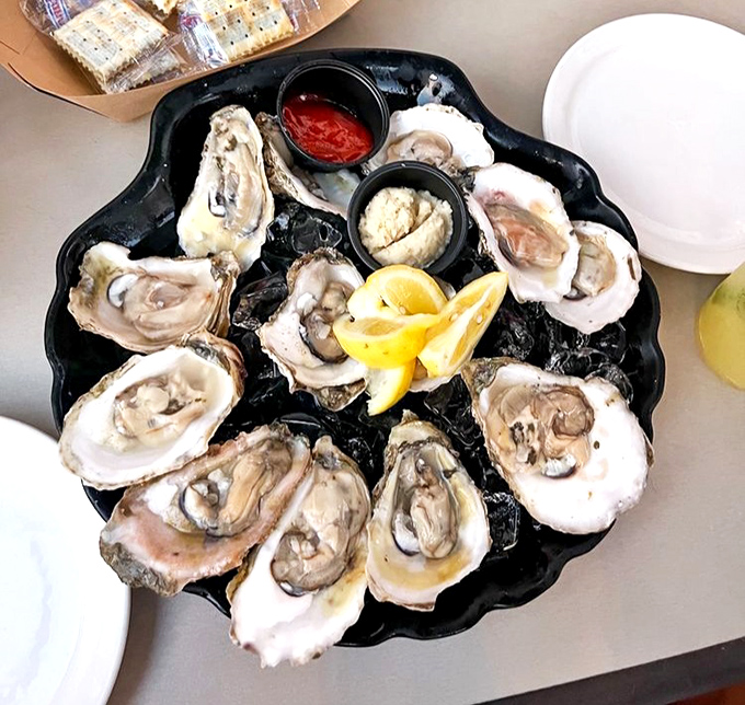These oysters aren't just served; they're presented like the coastal jewels they are. Fresh, briny treasures on a bed of ice with all the classic accompaniments.