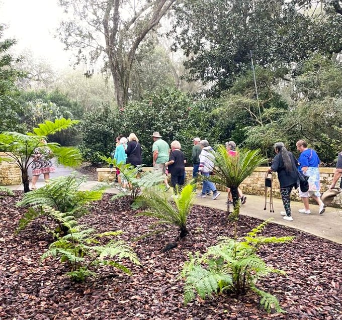 Garden tours at Bok Tower are like nature's conga line—follow the path and let Florida's botanical treasures reveal themselves.
