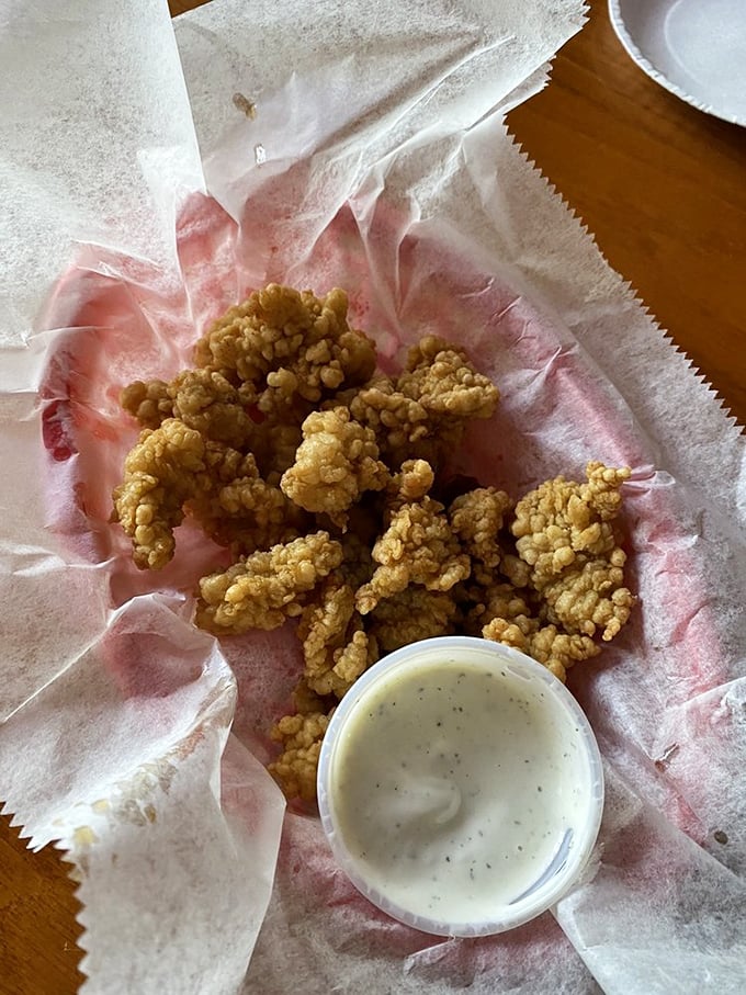 Crispy gator bites – because when in Florida, eating the local wildlife is practically a civic duty. Crunchy, tender, and conversation-starting all at once.