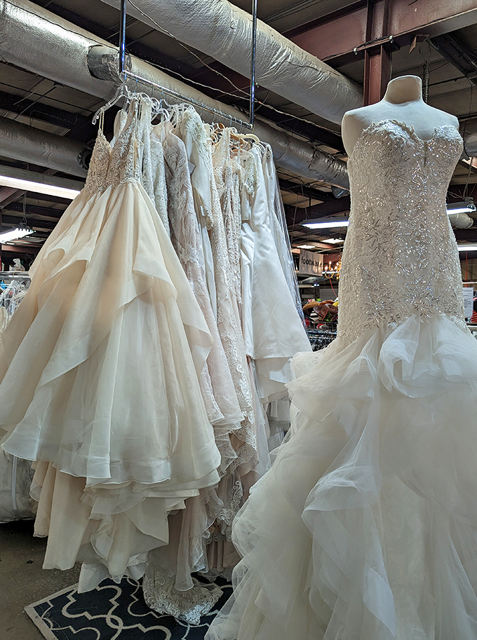 Formal gowns hang like sleeping beauties, waiting for their next big night out adventure.