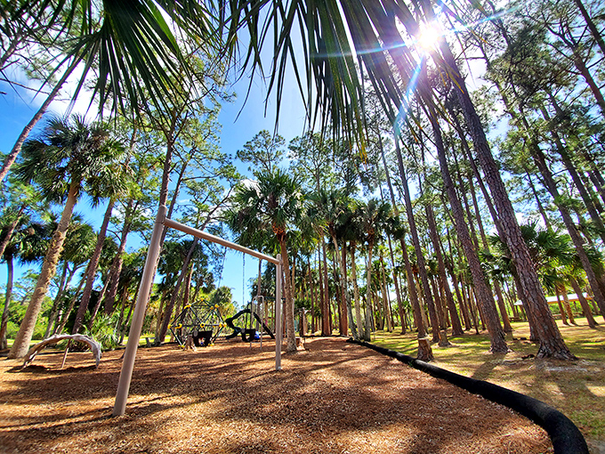 Nature's playground awaits under towering pines. This community park offers a shady respite from Florida's famous sunshine—no SPF 70 required here!