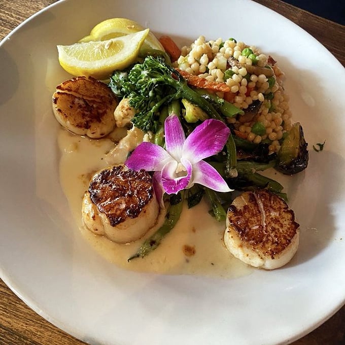 These perfectly seared scallops aren't just dinner, they're edible art – complete with an orchid garnish that's both "fancy restaurant" and "I'm about to have a religious experience."