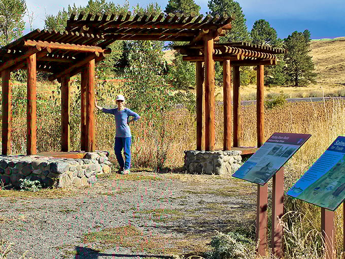 Interpretive displays along hiking trails offer moments to catch your breath while learning about local ecology. Educational pauses—nature's way of saying "slow down."