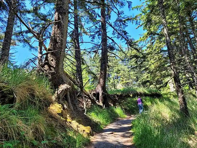 The forest path beckons like a scene from a fairy tale, minus the wicked witch and with significantly better cell reception.