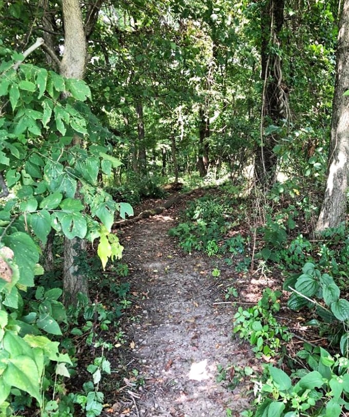 Not all who wander are lost, but this trail might make you want to be—at least until dinner time.