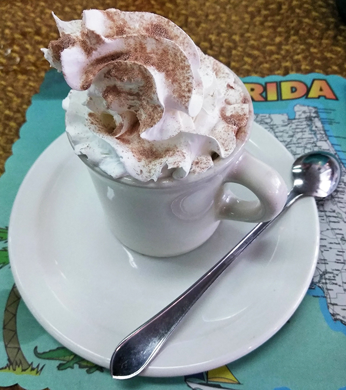 Hot chocolate that doesn't just arrive—it makes an entrance, crowned with a cloud of whipped cream and a dusting of cinnamon.