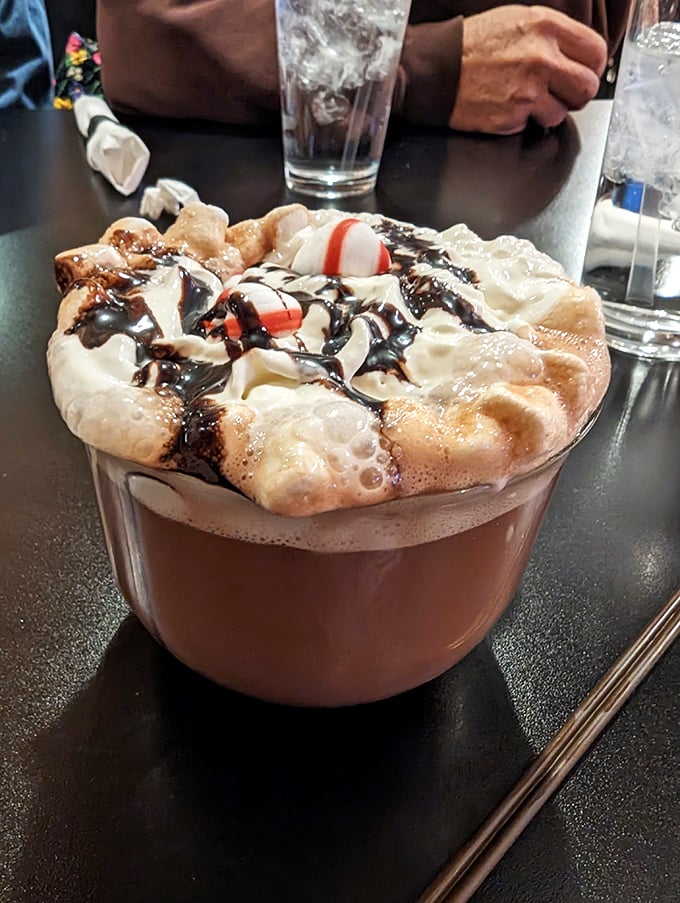 This isn't just hot chocolate—it's a dessert masquerading as a beverage. Topped with whipped cream, chocolate drizzle, and what appears to be peppermint candies.