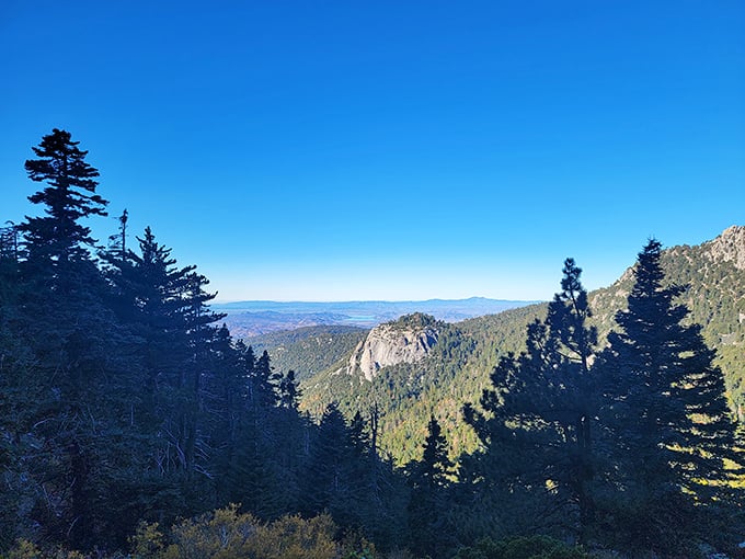 Tahquitz Peak stands sentinel over the forest. On clear days like this, you can see from desert to ocean—John Muir wasn't exaggerating.