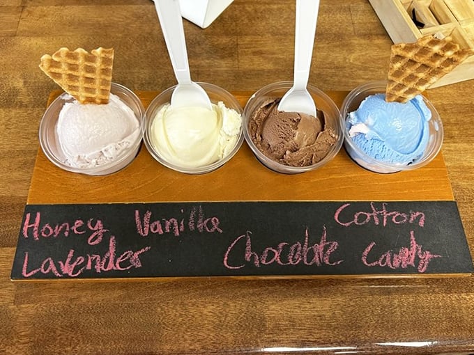 The ice cream flight – because choosing just one flavor is like picking a favorite Beatles song. Impossible and slightly heartbreaking.