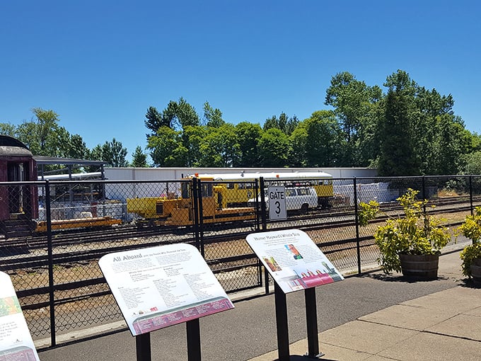Like a roadmap to wonder, these informational signs prepare visitors for the journey ahead—no GPS required for this kind of exploration!
