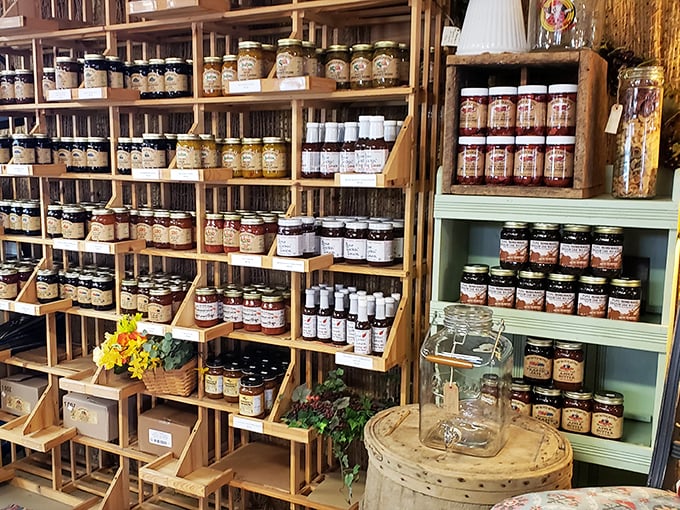 A wall of preserved goodness that would make any pantry-proud grandmother nod in approval – these jarred delights await their next kitchen adventure.