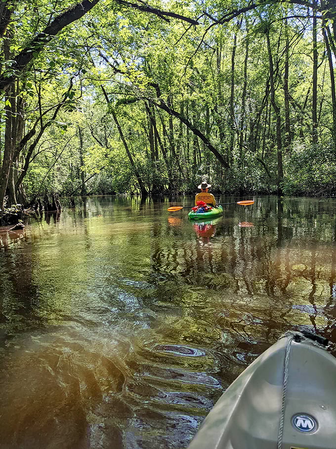 Gliding through the tea-colored waters beneath a canopy of trees feels like traveling through nature's secret passageway. Paddler's paradise found!