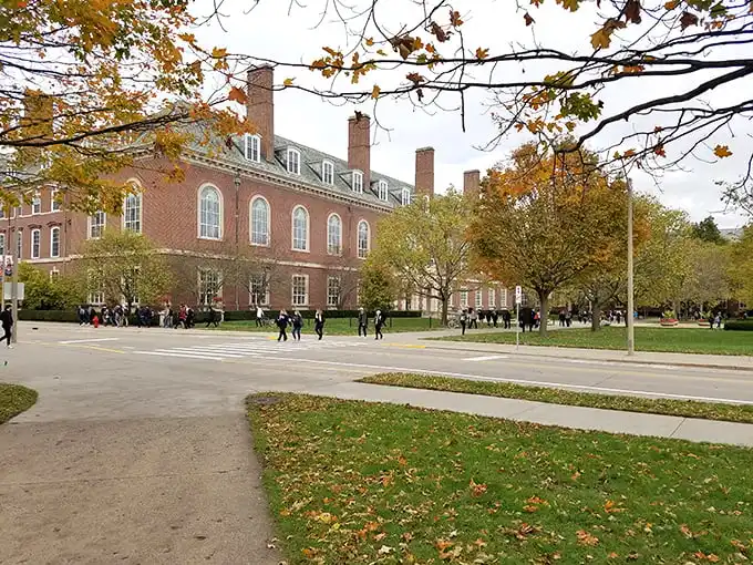 The stately brick buildings of the University of Illinois campus – where future Nobel Prize winners and future baristas alike find inspiration.