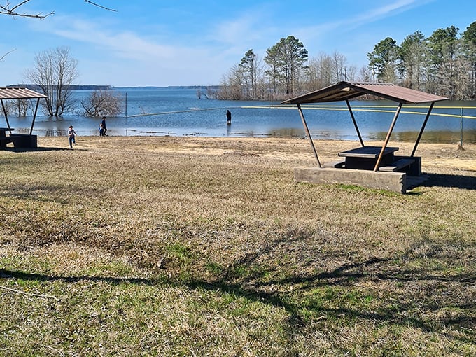 Lakeside views that remind you Texas isn't all tumbleweeds and cacti. This serene spot offers the perfect escape from your smartphone notifications.