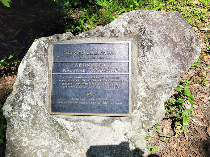 History set in stone—literally. This plaque confirms you've found one of Florida's most unique natural landmarks, not just a really big hole in the ground.
