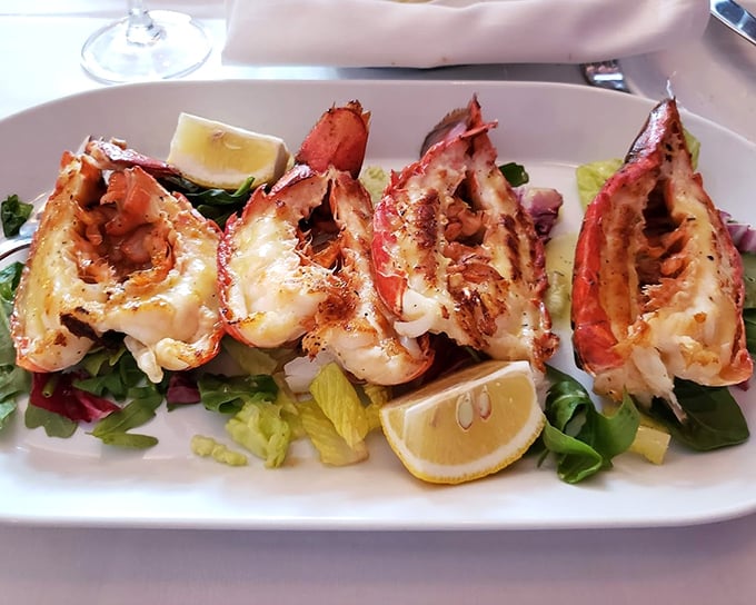 Lobster tails arranged like a culinary crown jewel, resting on a bed of greens that actually deserve to be eaten.