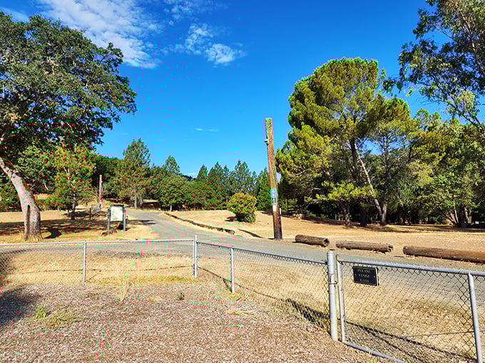 Low Gap Park offers trails where the only traffic you'll encounter is the occasional squirrel with right-of-way. Nature's stress management program.