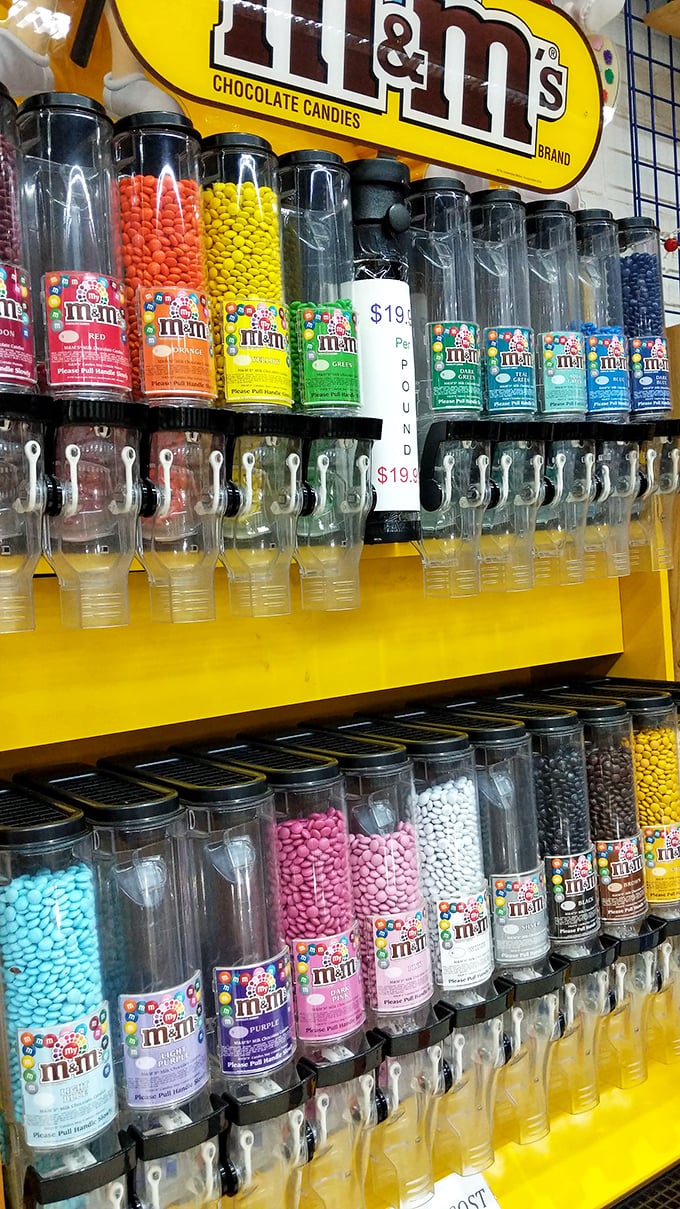 The M&M's dispensary system—where color coordination becomes a serious life decision and portion control goes to die.