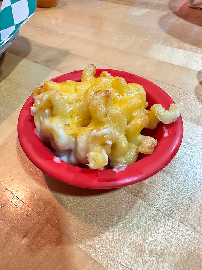 Mac & cheese that doesn't apologize for being exactly what it should be: creamy, indulgent, and unapologetically comforting.