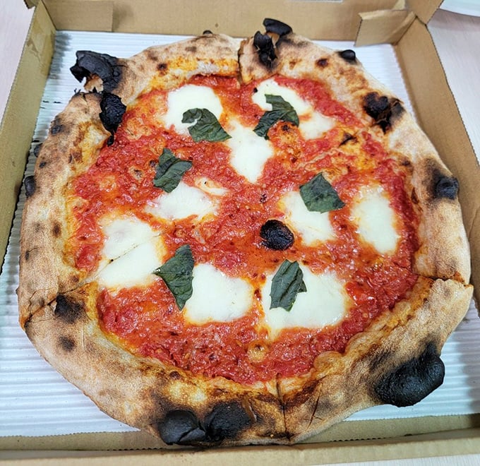 The Margherita pizza—where simplicity becomes art. Those char spots aren't mistakes; they're flavor medals earned in the inferno.