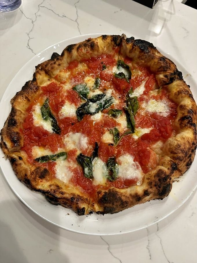 The Margherita—pizza in its purest form. That leopard-spotted crust is the pizza equivalent of hitting the jackpot in Vegas.