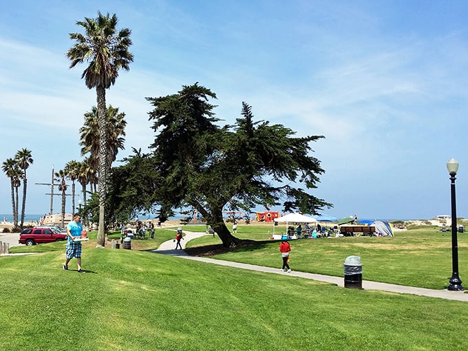 Marina Park delivers that quintessential California park experience without the crowds—proof that "beachfront relaxation" and "affordable" can still exist in the same sentence.