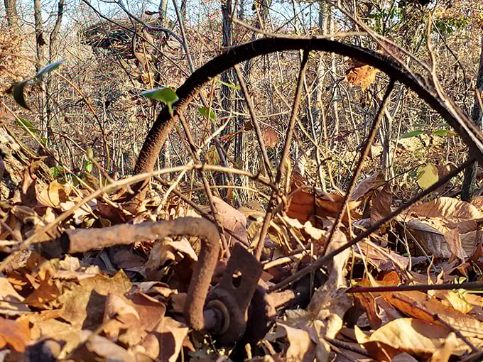 Time's patient hand revealed in a forgotten wheel. Like Jug Rock itself, this relic tells stories of bygone eras when these woods echoed with different sounds.