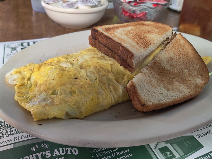 This isn't just an omelet—it's a golden-hued masterpiece of morning potential, paired with toast that's achieved that ideal shade of brown.