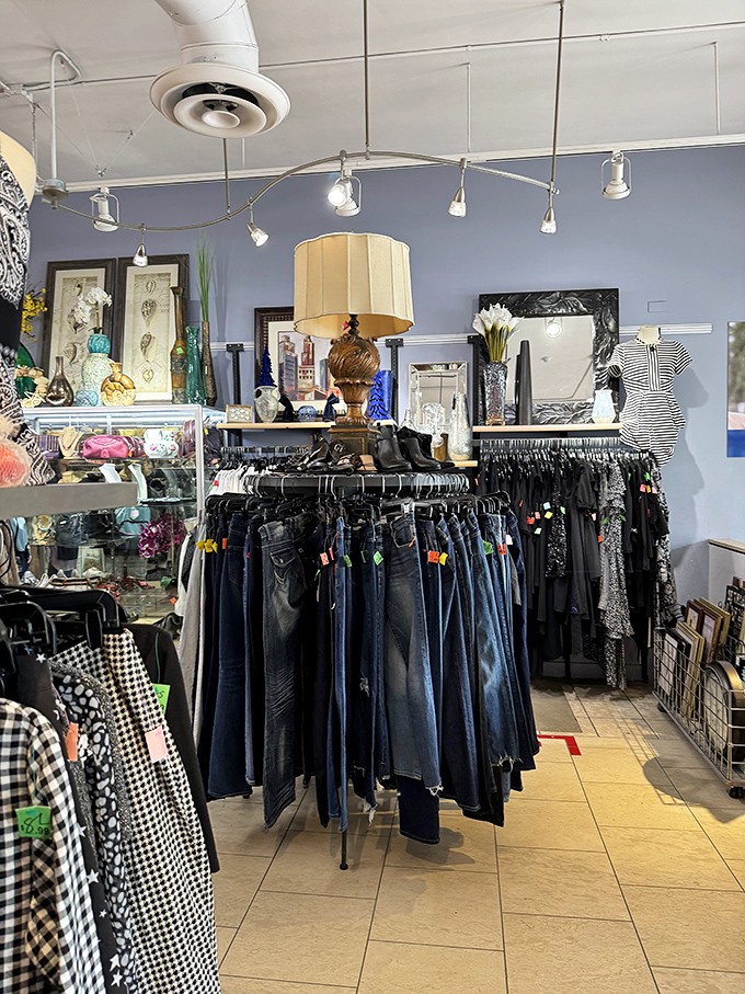 Denim paradise! Every pair tells a story, and at these prices, you can afford to be the main character in several fashion narratives.