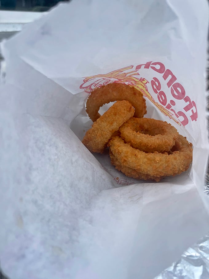 Onion rings that demand respect—substantial, crispy, and unapologetically simple. No foodie buzzwords needed when the execution is this good.