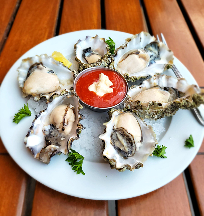 Fresh oysters on ice—nature's perfect appetizer and the ocean's way of saying "you're welcome" to your taste buds.