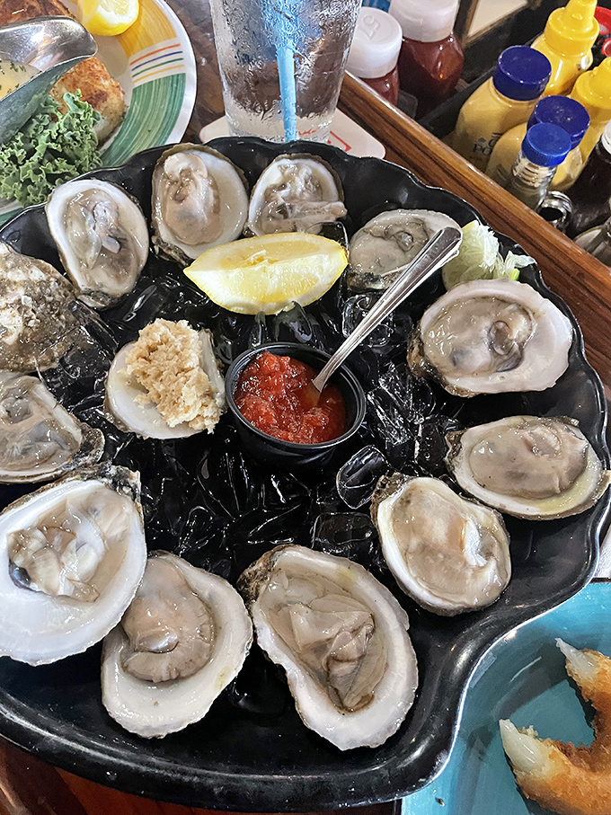 These oysters aren't just served, they're presented – glistening treasures from the sea that taste like the ocean's finest moment.