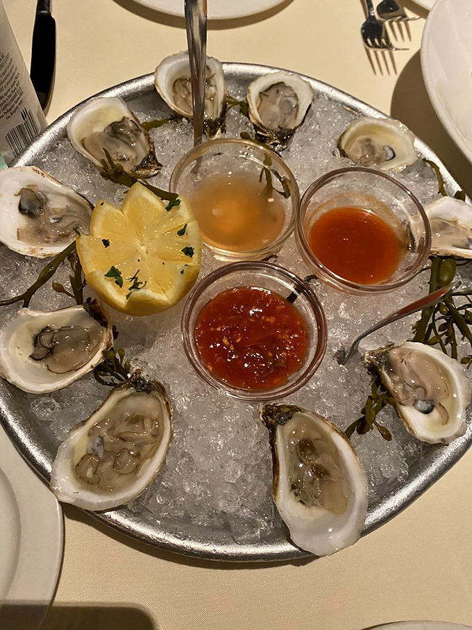 A circle of oysters arranged like nature's perfect appetizer—briny treasures from the sea with their own built-in serving dishes.