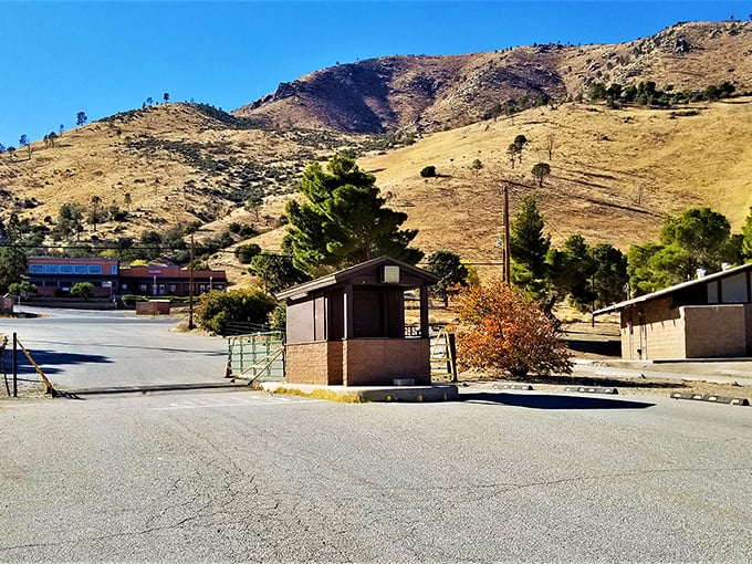 Those golden hills cradle small-town life perfectly—where a bus stop shelter becomes architectural art against nature's dramatic backdrop.