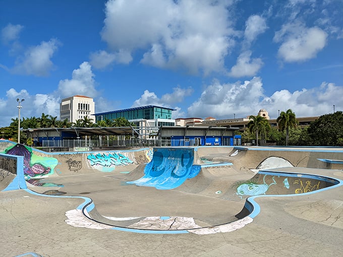 This isn't your average skate park – it's Payne Park's concrete canvas where local kids perform gravity-defying ballet while parents pretend not to be nervous.