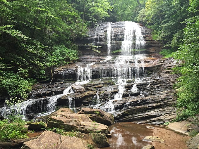 Pearson's Falls doesn't just flow—it performs, cascading over ancient rocks in a symphony of splashes that soothes the soul.