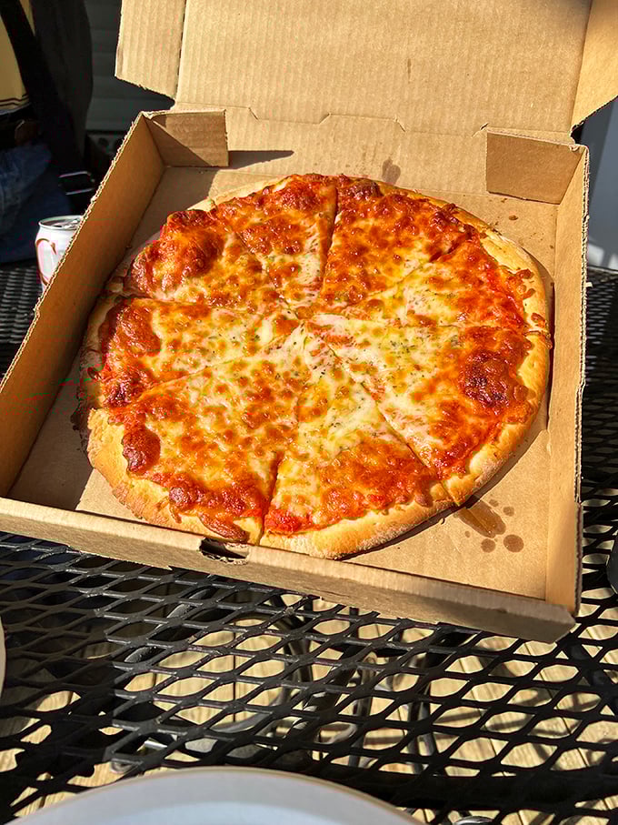 Pizza perfection doesn't need fancy toppings or artisanal nonsense—just the right cheese-to-sauce ratio and a box that says "I'm taking you somewhere special."