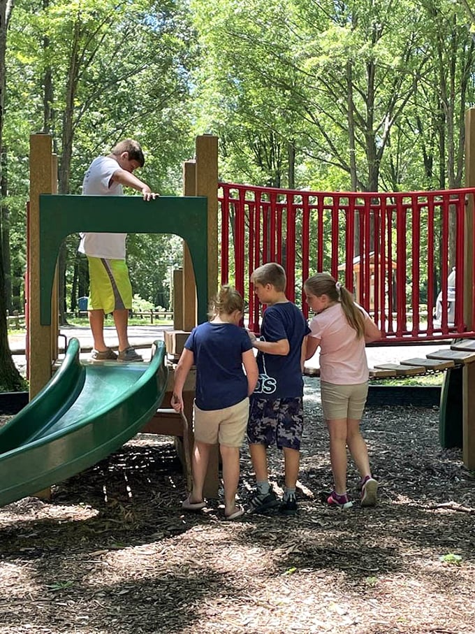 The universal language of playground joy—where kids navigate slides and ladders with the seriousness of mountain explorers.