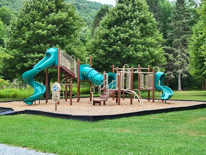 This playground might not have smartphone charging stations, but it offers something better—genuine childhood joy surrounded by towering Pennsylvania forest.
